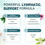 vitamin C and zinc echinacea blend