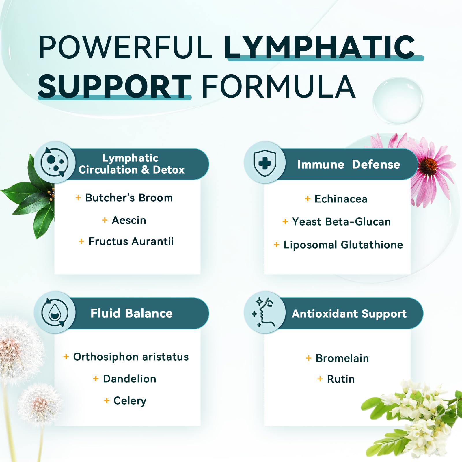 vitamin C and zinc echinacea blend