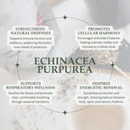 vitamin c and zinc echinacea blend