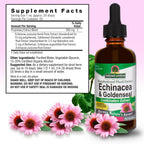 Vitamin C and zinc echinacea blend