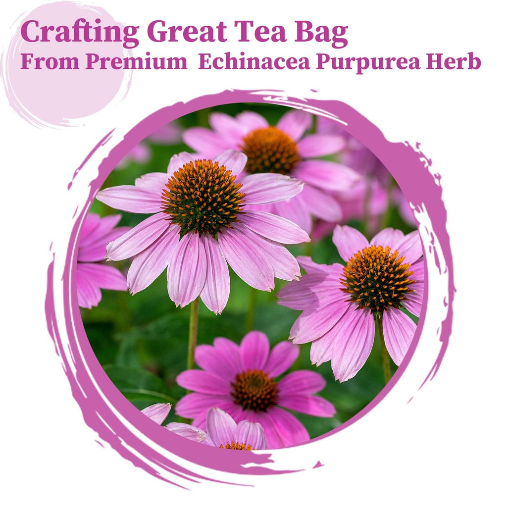 vitamin c and zinc echinacea tea