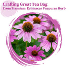 vitamin c and zinc echinacea tea