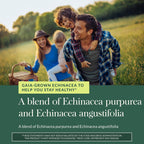 vitamin C and zinc echinacea