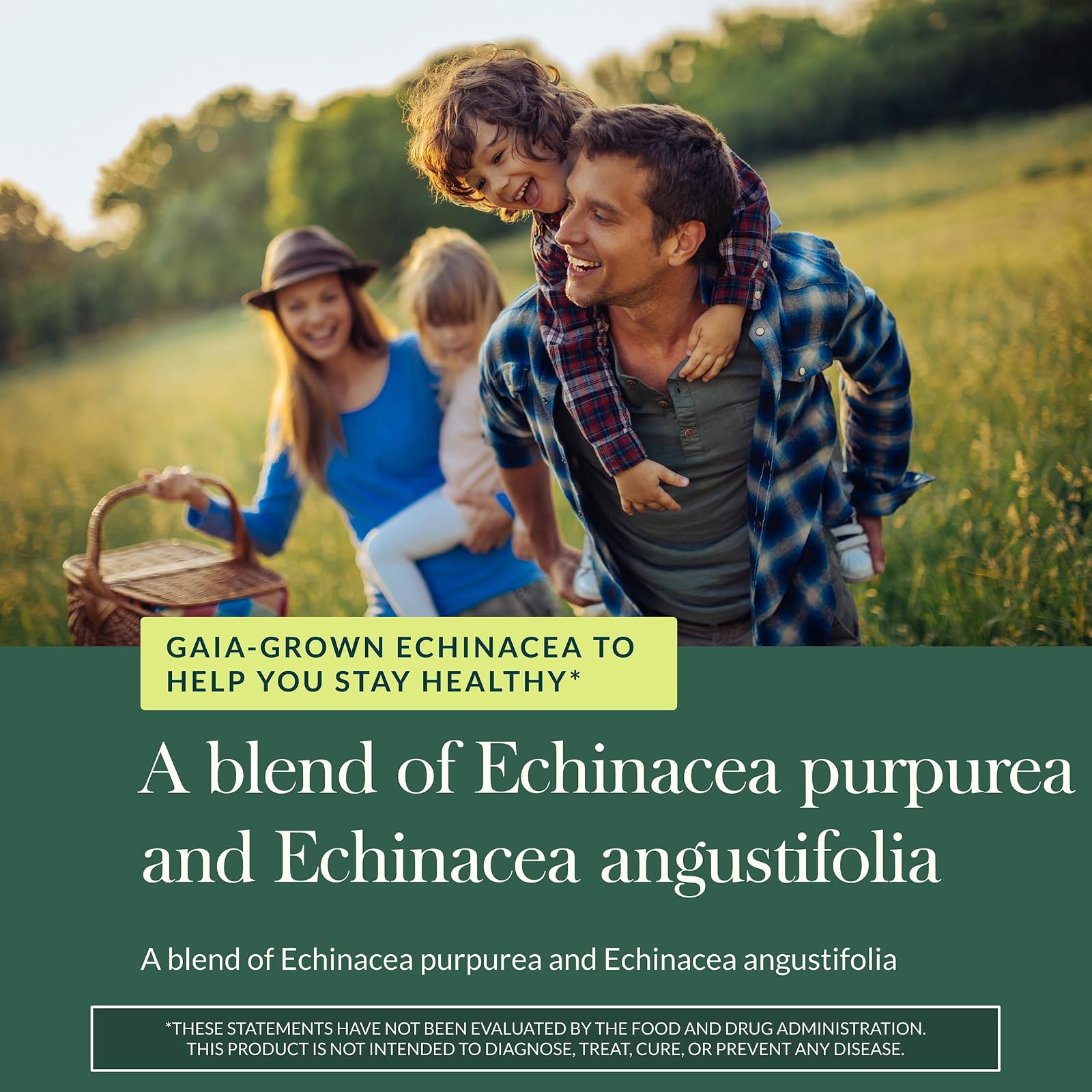 vitamin C and zinc echinacea