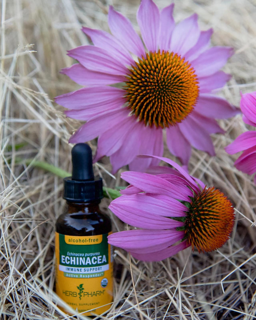 vitamin C and zinc echinacea