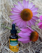 vitamin C and zinc echinacea