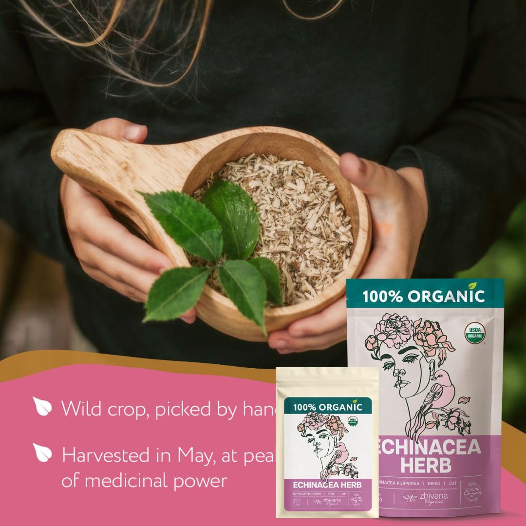 vitamin C and zinc echinacea