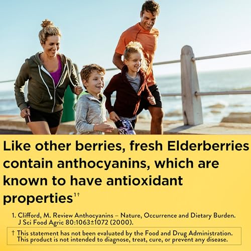 vitamin C and zinc elderberry gummies