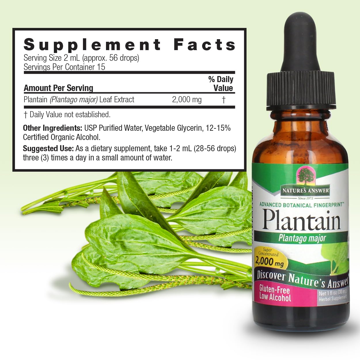 vitamin C and zinc with echinacea