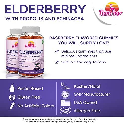 vitamin C enriched elderberry gummies