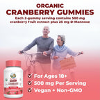 vitamin C gummies for daily wellness