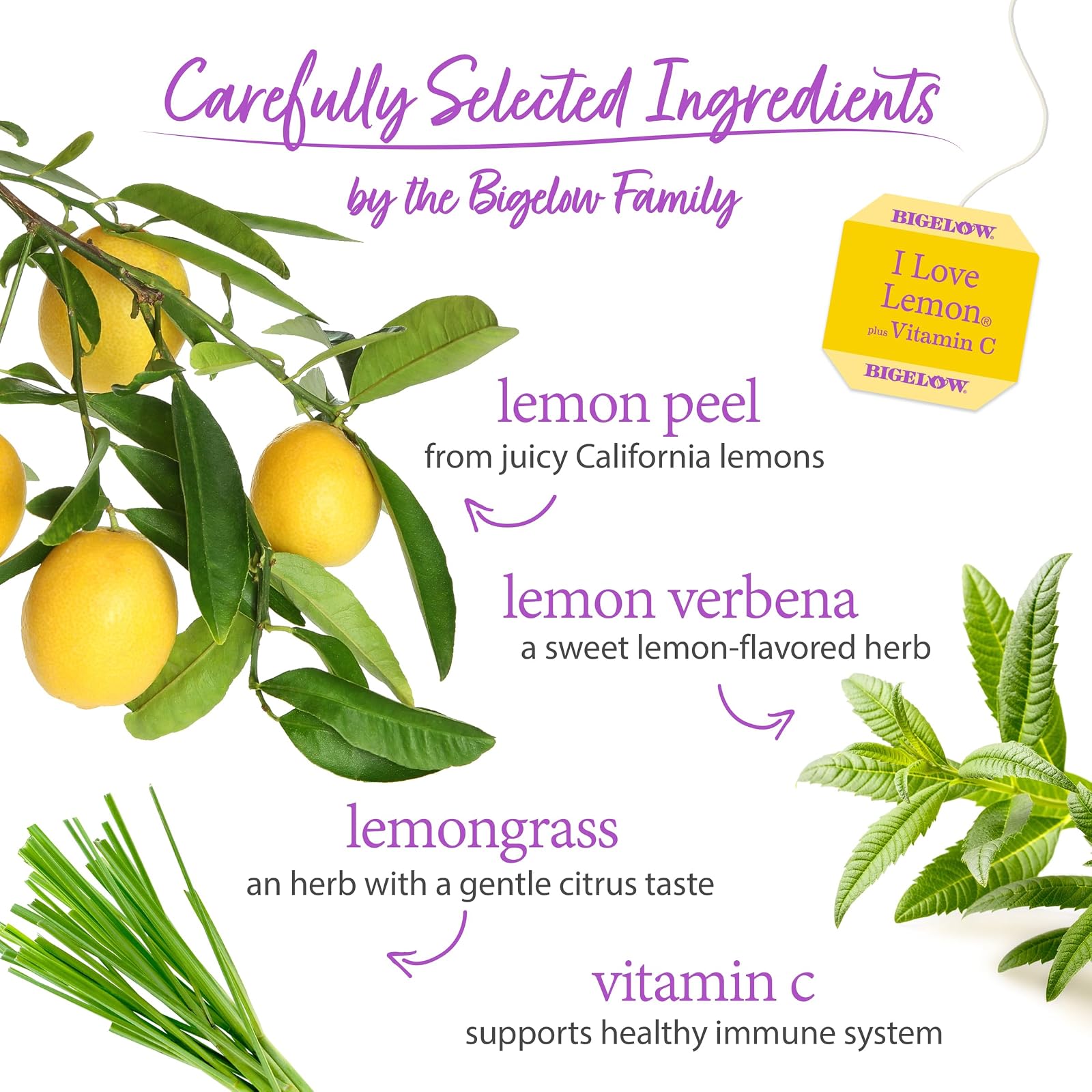 vitamin C infused herbal tea