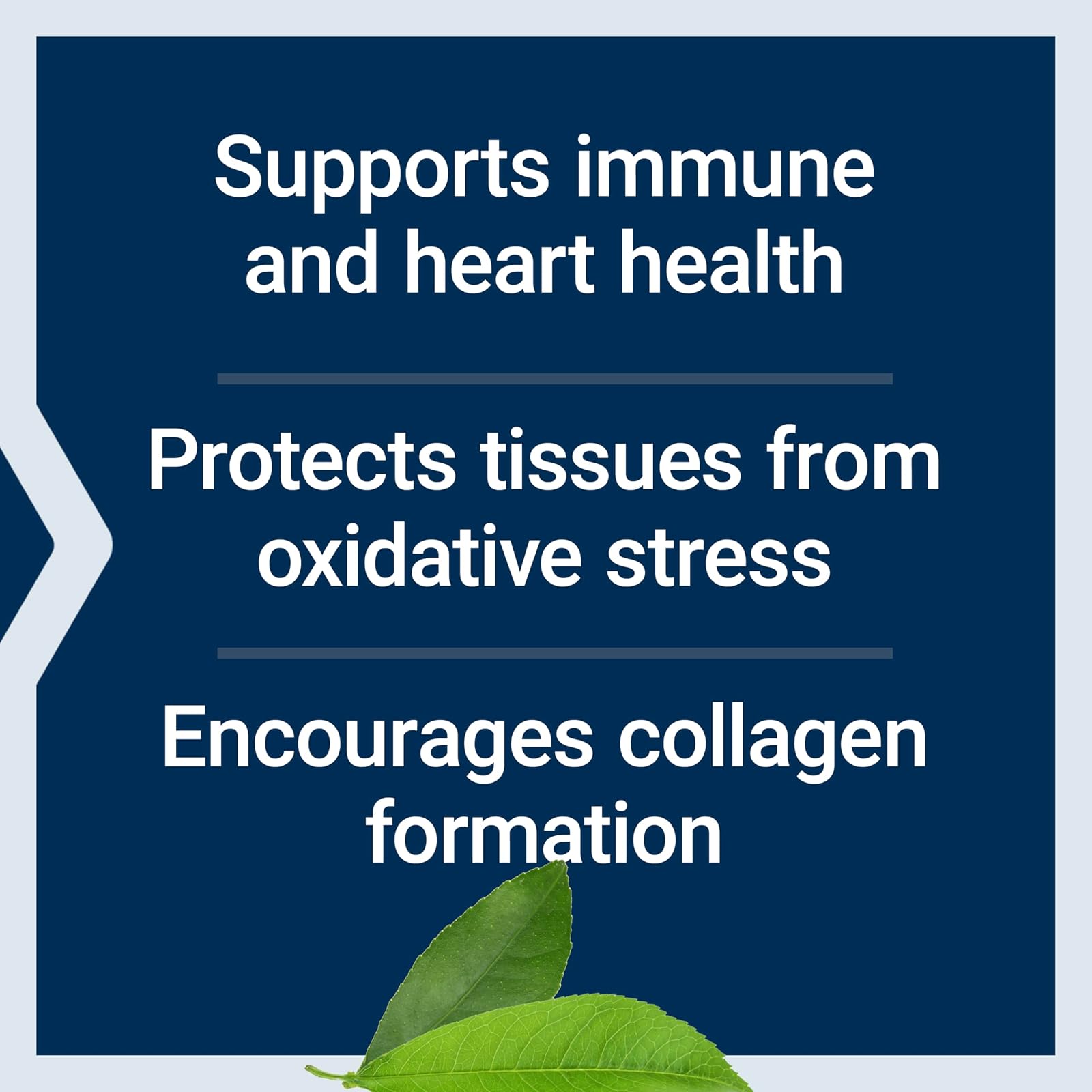 vitamin c powder for immune support
