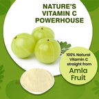 Vitamin C rich amla powder