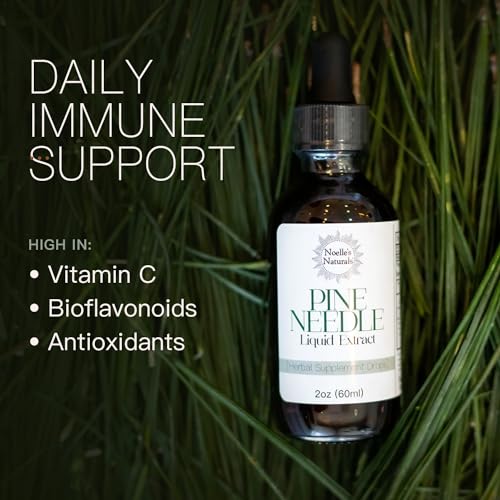 vitamin C rich pine needle extract