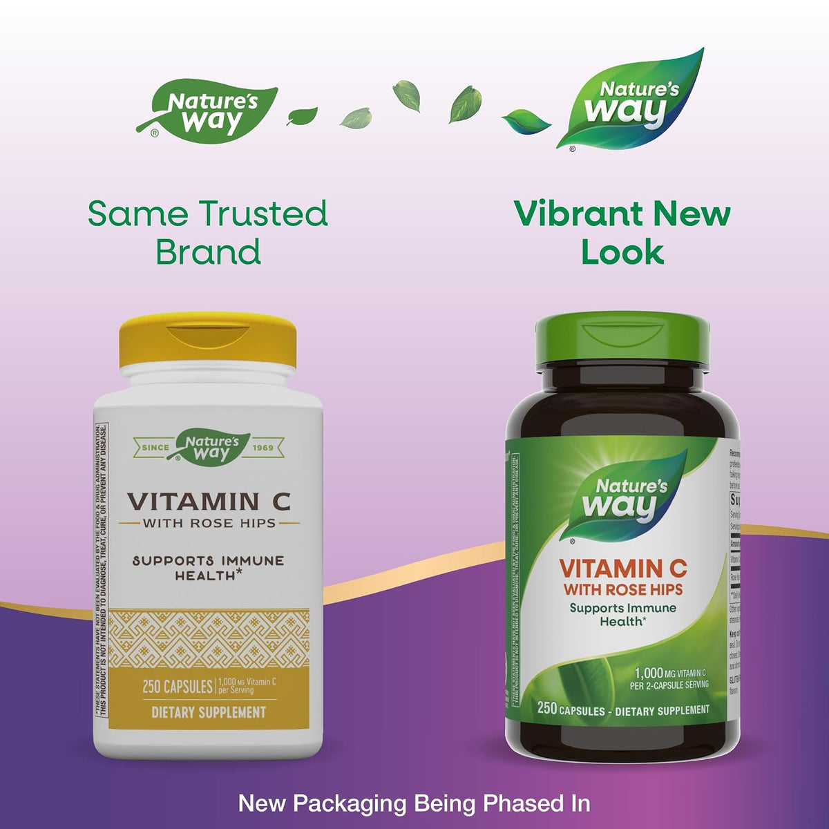 Vitamin C with rose hips benefits