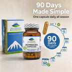 vitamin c zinc echinacea benefits