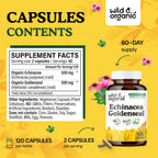 vitamin c zinc echinacea supplement