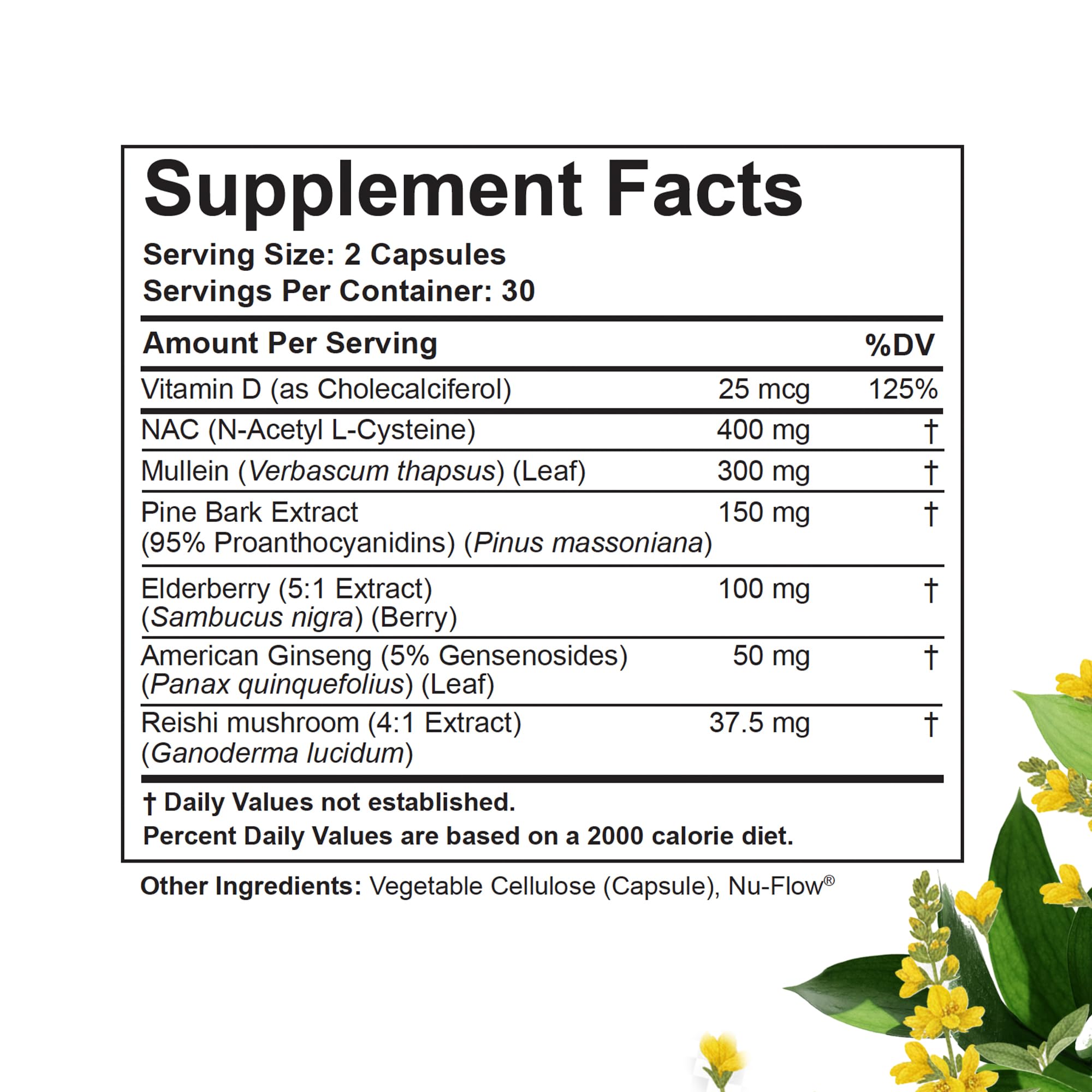 vitamin D for respiratory wellness