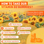 Vitamin D2 gummies for seasonal wellness