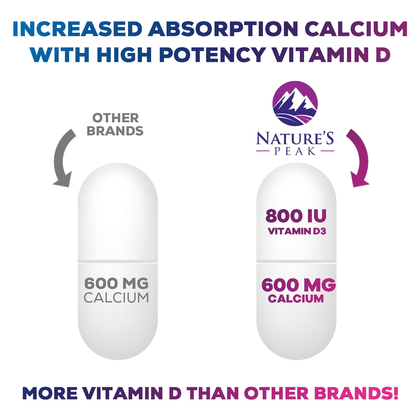 Vitamin D3 enhances calcium absorption