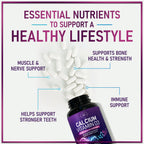 Vitamin D3 enhances calcium absorption