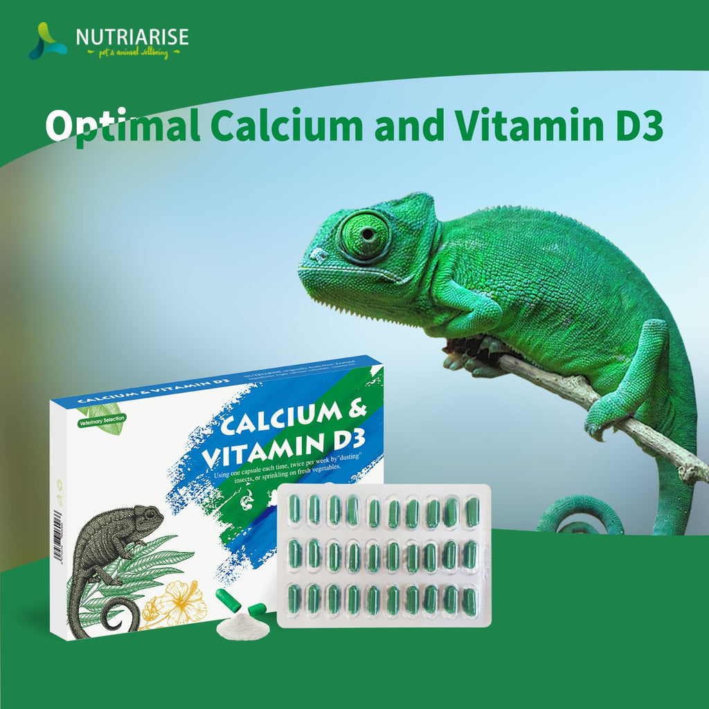 vitamin D3 enriched calcium formula