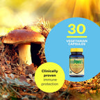 Vitamin D3 immune support supplement