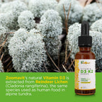 vitamin d3 k2 drops for energy