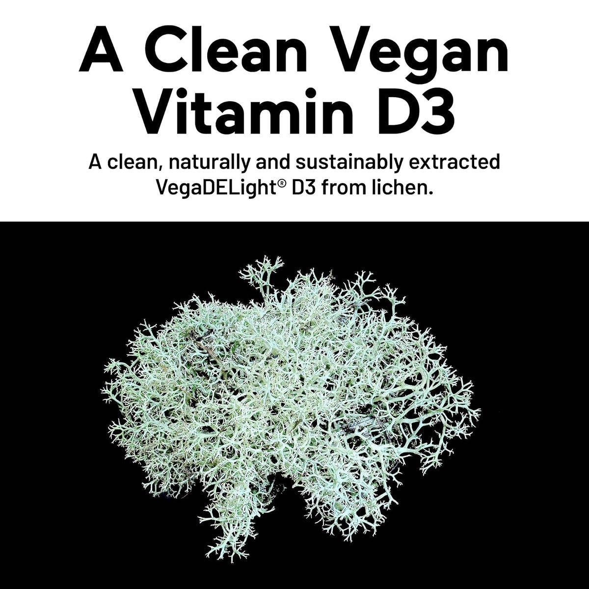Vitamin D3 K2 for bone health