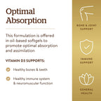 Vitamin D3 softgels for daily wellness