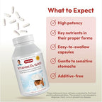 vitamin D3 support for bone health