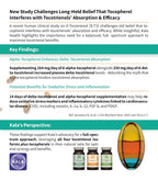 Vitamin E 400 IU immune support