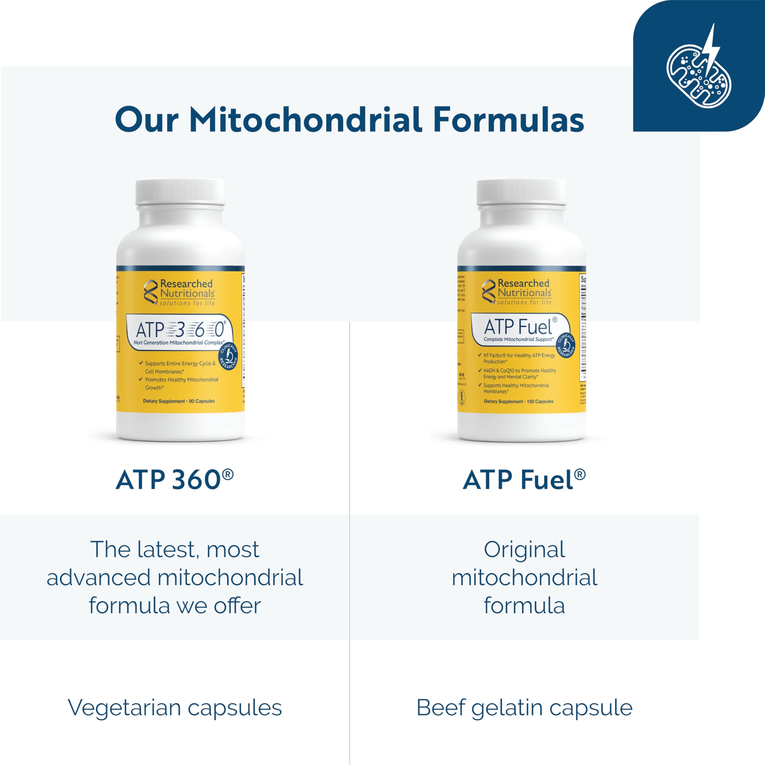 vitamin E for antioxidant protection