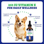 Vitamin E oil for dogs