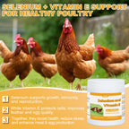 Vitamin E powder for healthier chickens