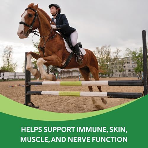 vitamin e powder for immune support