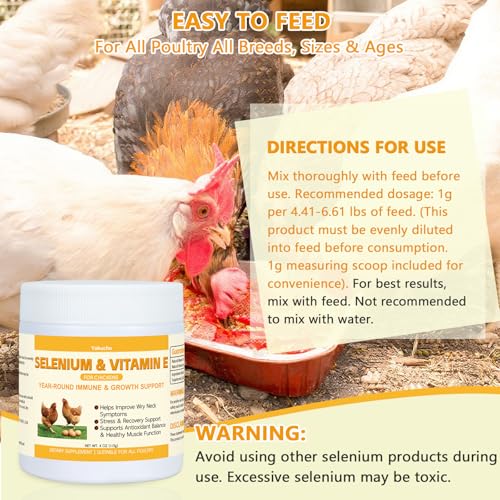 Vitamin E powder for strong immune system