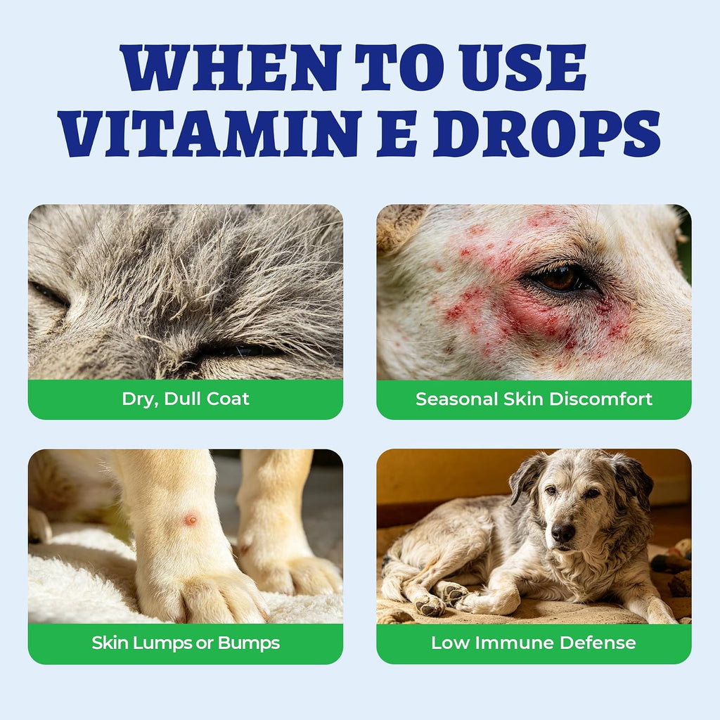 Vitamin E supplement for cats