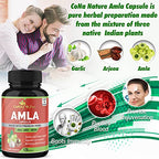 Vitamin Essentials amla extract benefits