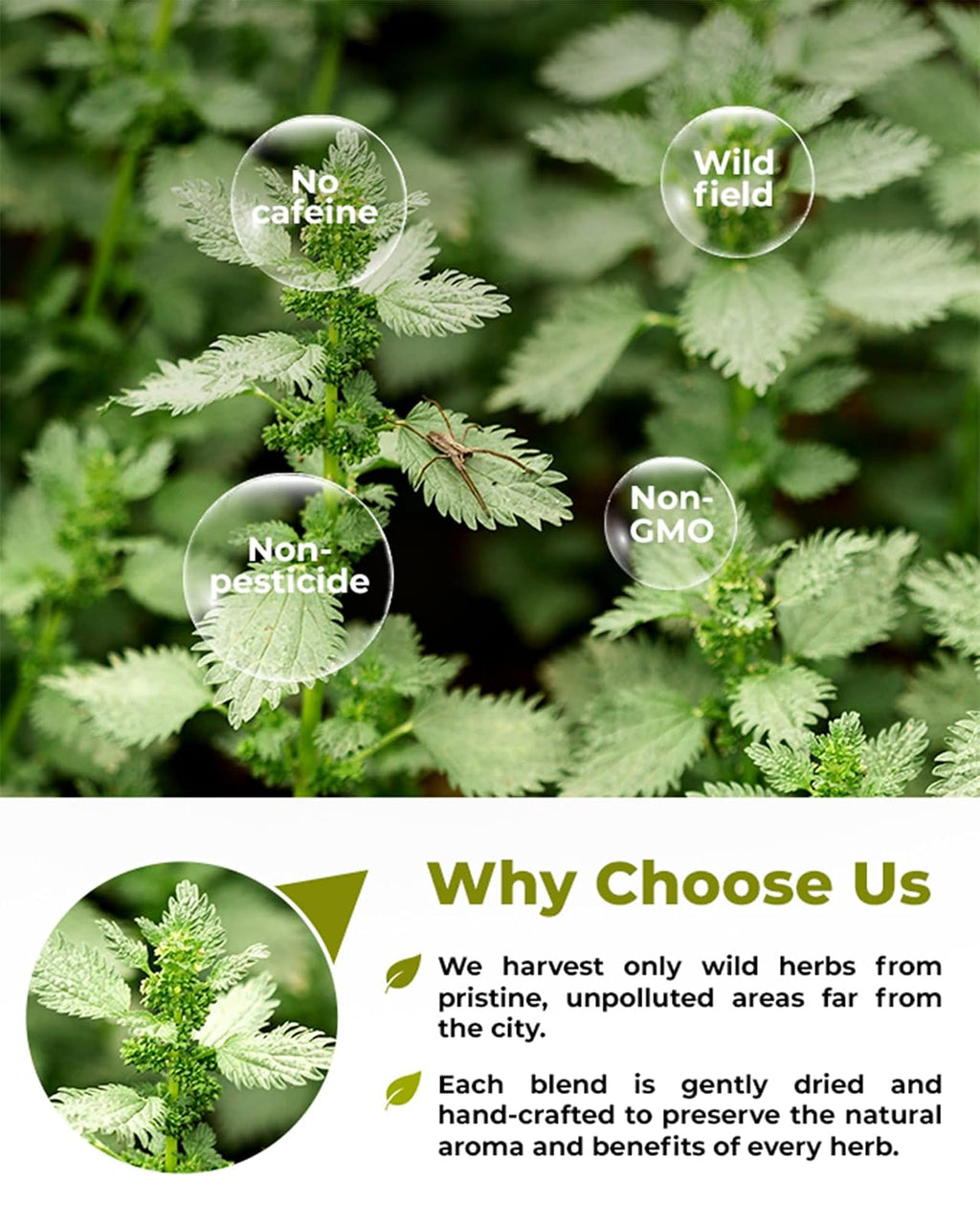 vitamin essentials catnip herbal infusion
