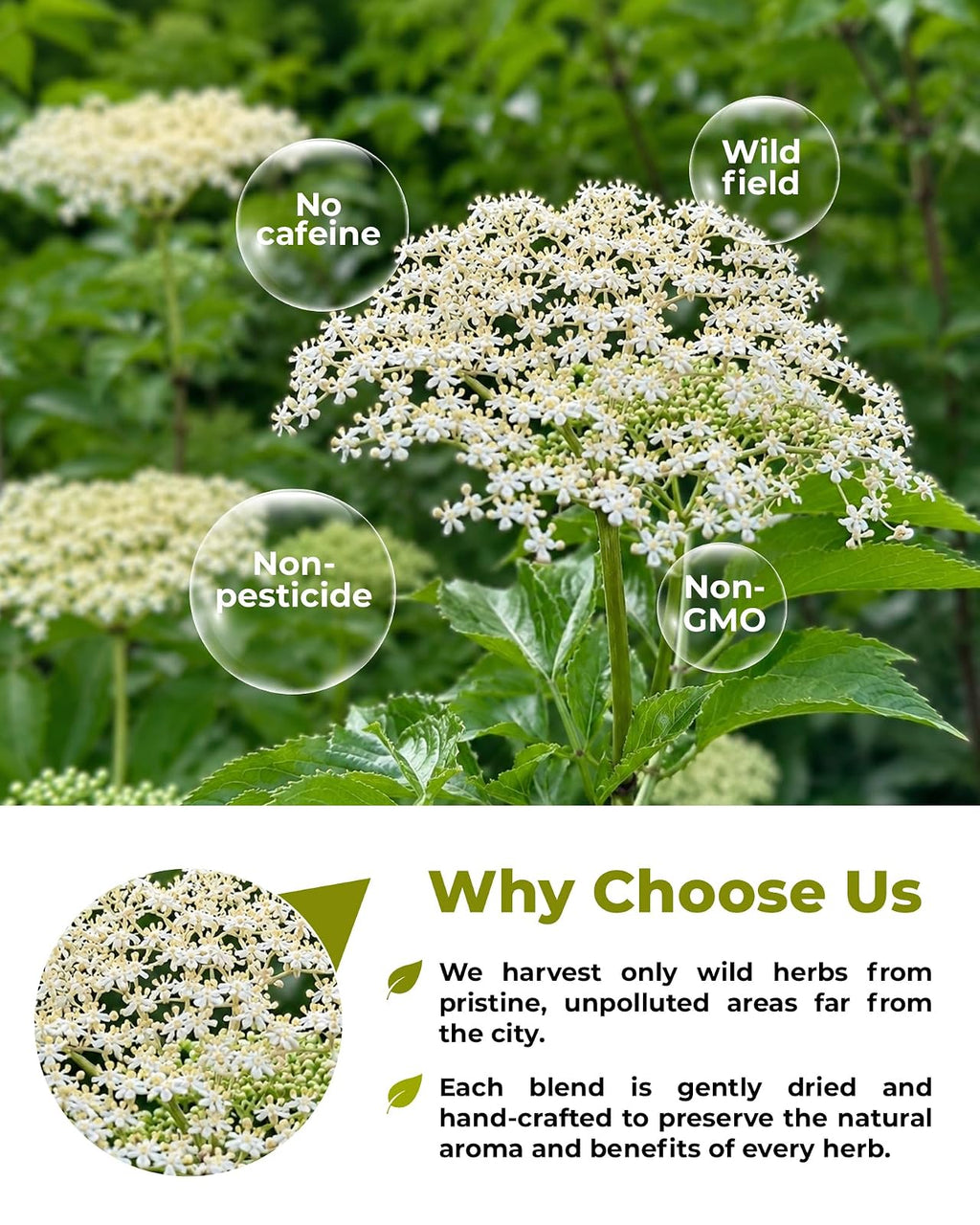 vitamin essentials elderflower herbal tea