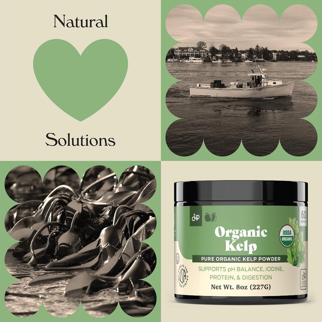 vitamin essentials kelp powder benefits