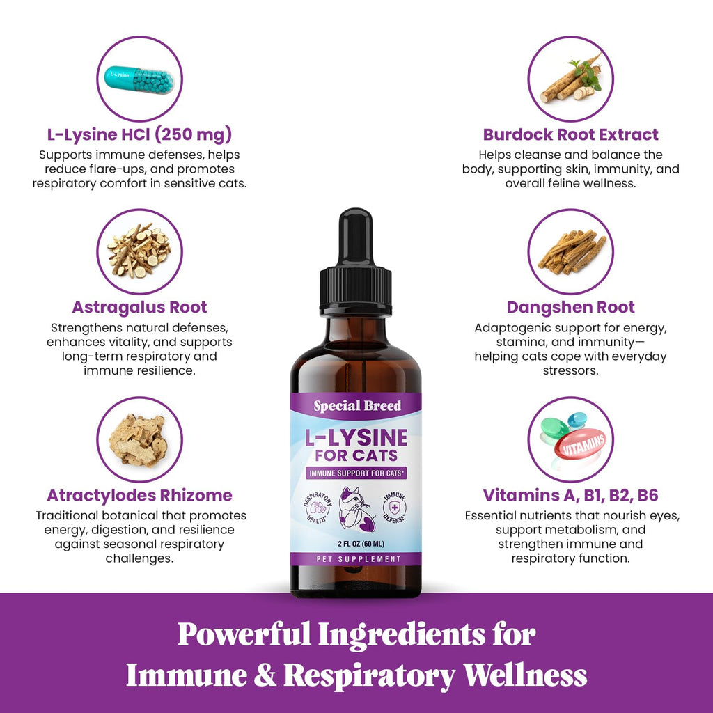vitamin essentials l-lysine drops