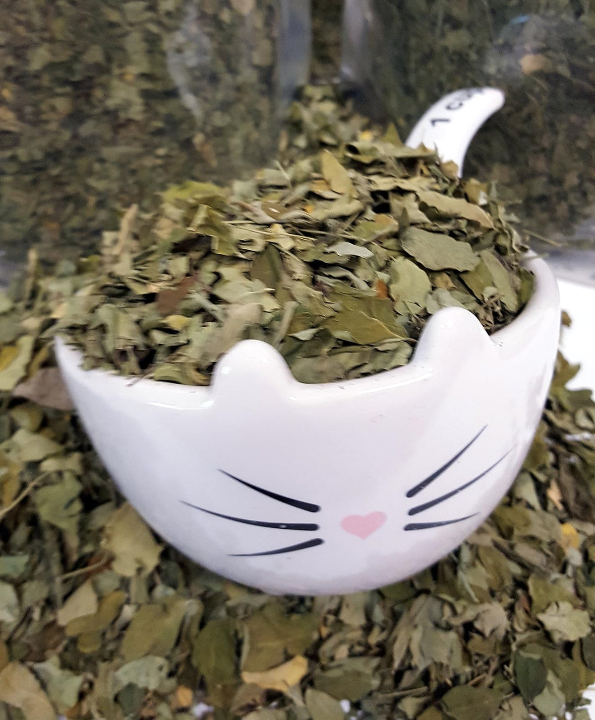 vitamin essentials moringa for energy