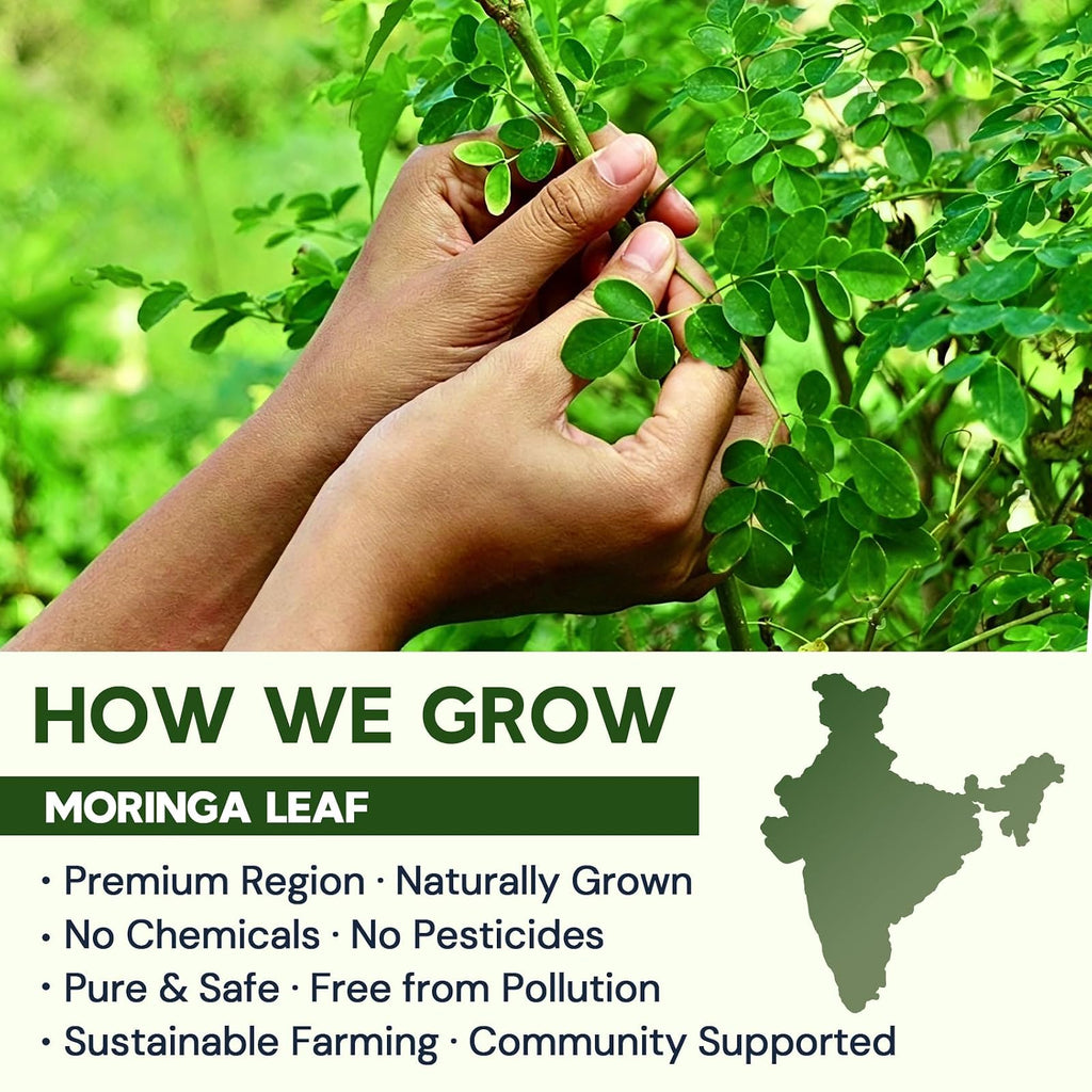 vitamin essentials moringa tea bags