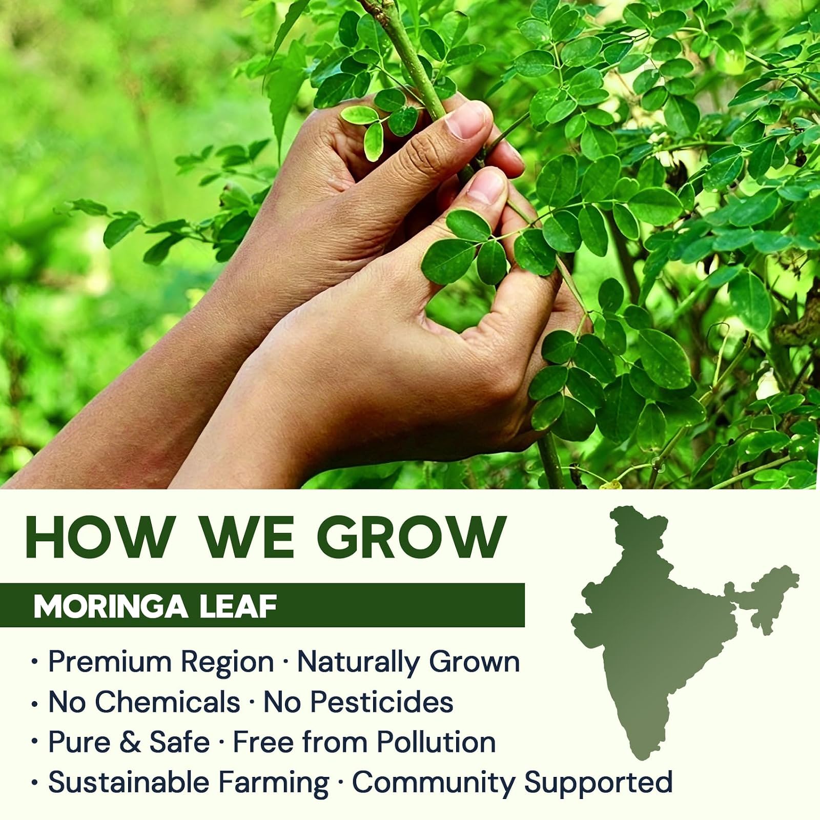 vitamin essentials moringa tea bags