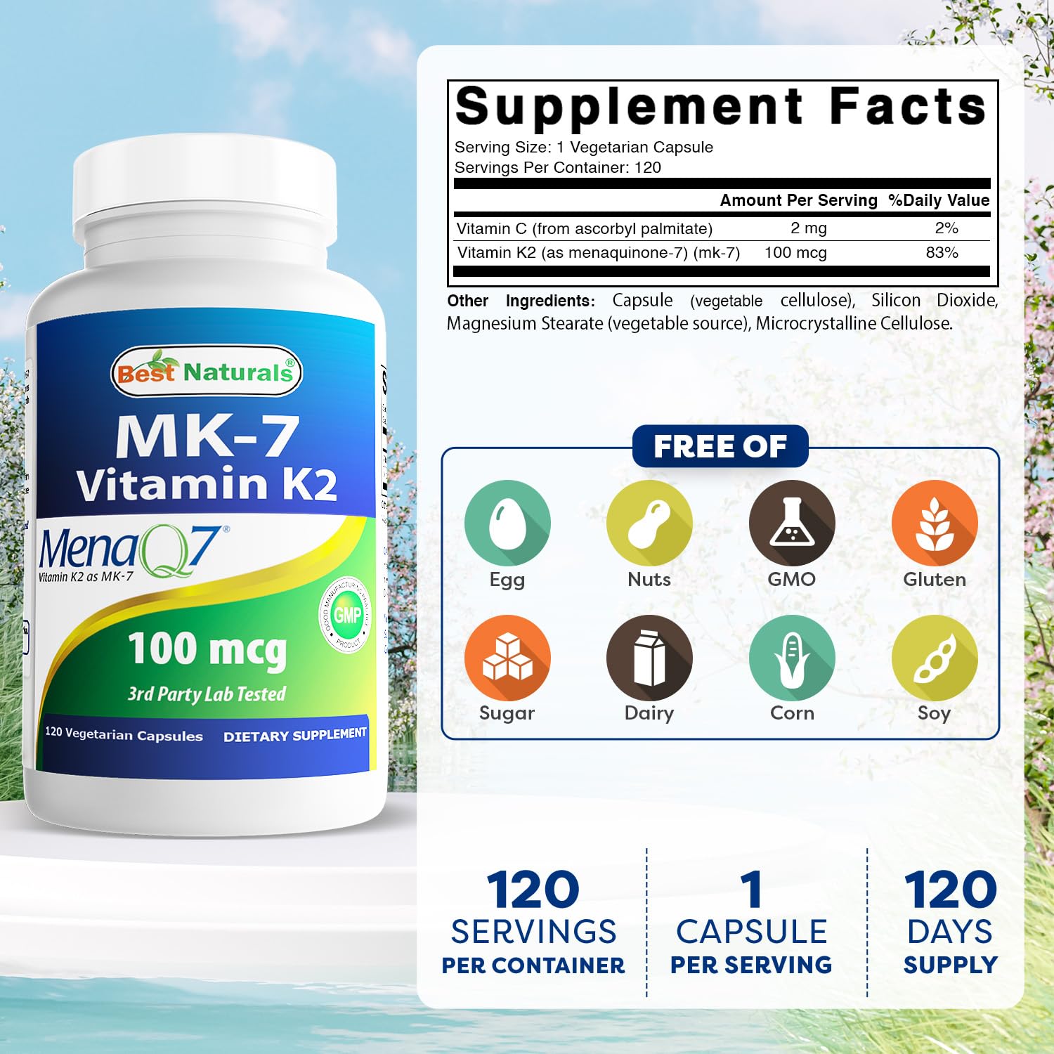 vitamin k for bone health