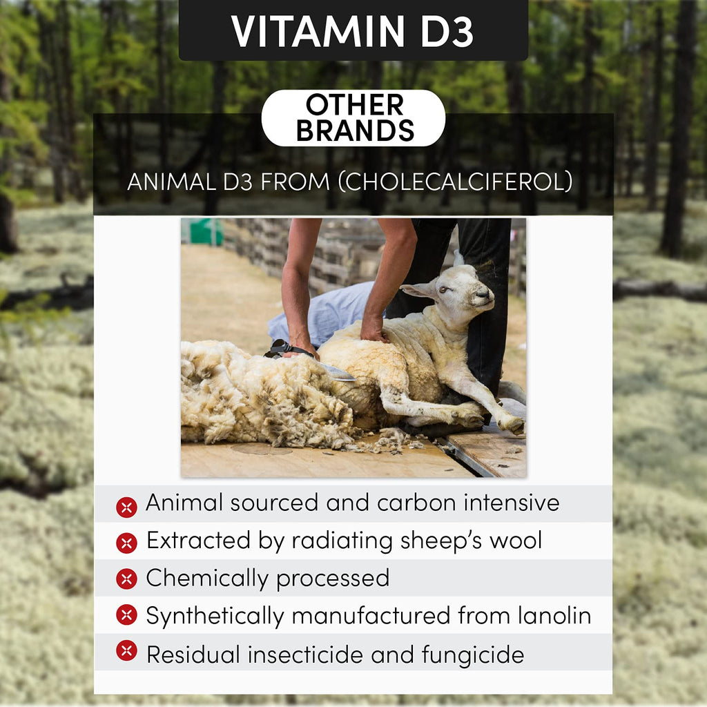 vitamin K2 and D3 for calcium absorption