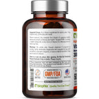 vitamin K2 MK-7 for overall wellness